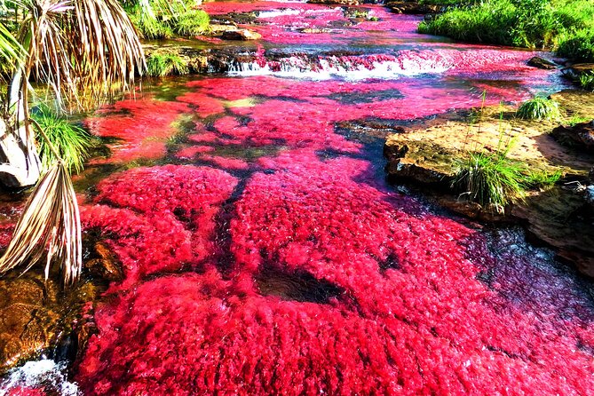 Community Tour 3 Days 2 Nights All Included in Guaviare - Additional Information