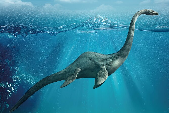 Como Walking Tour With Audio and Written Guide by a Local - Accessibility and Participation Requirements