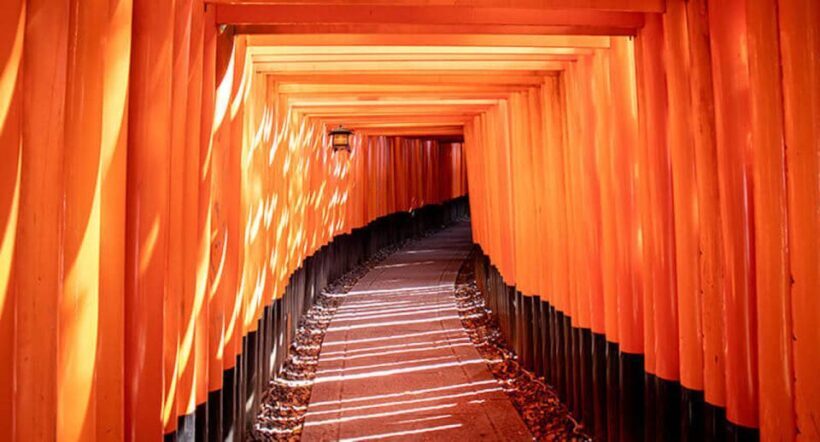 Compact Kyoto day tour experience - Fushimi Inari Shrine