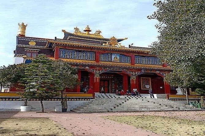 Complete Himachal Tour 8 Nights 9 Days Starting from Delhi - Who Will Love This Tour?