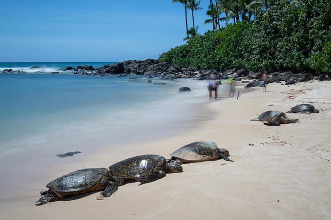 Complete Island Tour & Sunrise Photo Experience - The Complete Island Tour