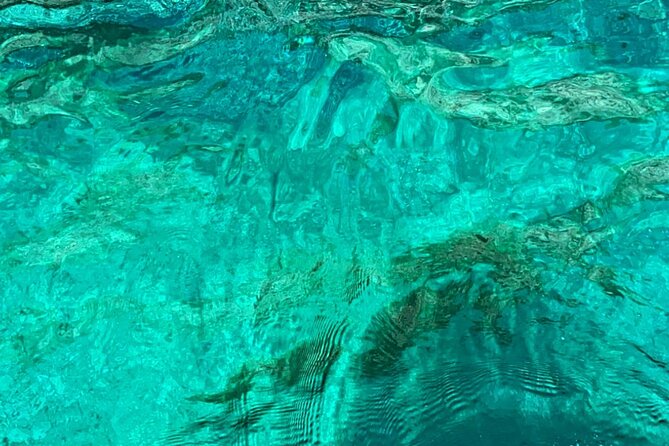 Complete Private Guided Three-Hour Tour Review - Tour Experience