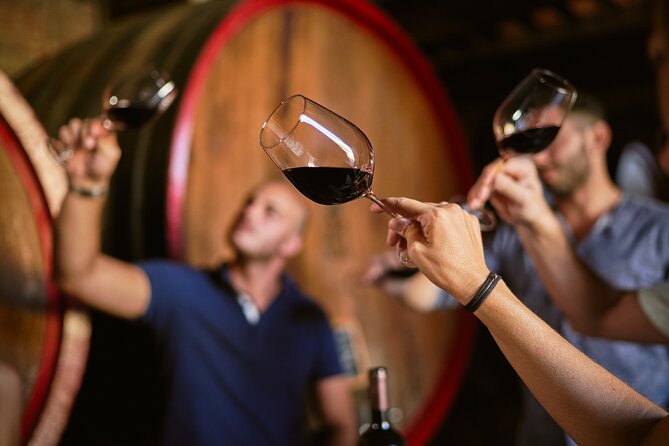 Complete tasting of Castello di Bossi - Tasting the Wines: A Closer Look