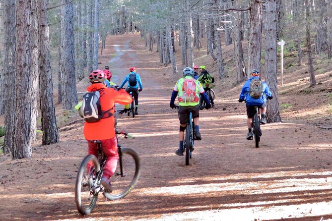 Complete tour of Etna by E-MTB - Authentic Experiences and Guided Expertise