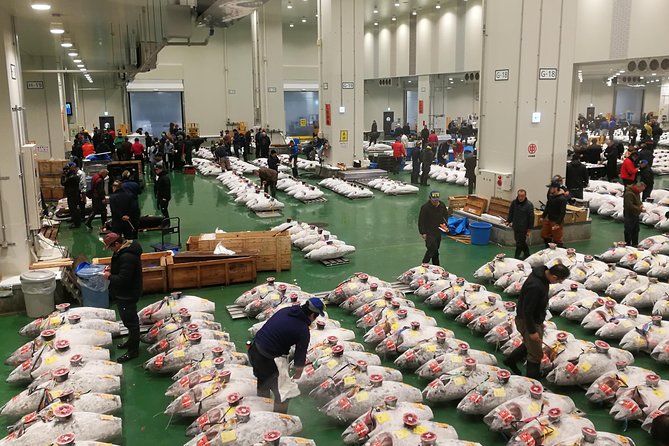 Complete Tuna Auction & Toyosu Fish Market Tour - Auction Access