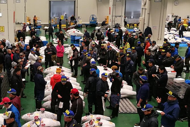 Complete Tuna Auction & Toyosu Fish Market Tour - Expert Guidance