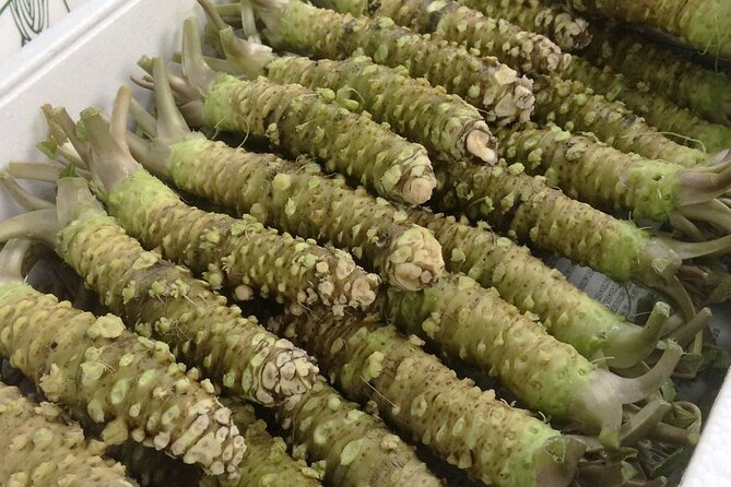 Complete Tuna Auction & Toyosu Fish Market Tour - Booking and Contact Information