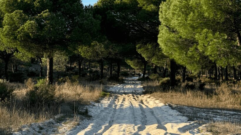 COMPORTA: LAND ROVER PREMIUM TOUR | PICNIC & DRONE INCLUDED - What Makes This Tour Stand Out