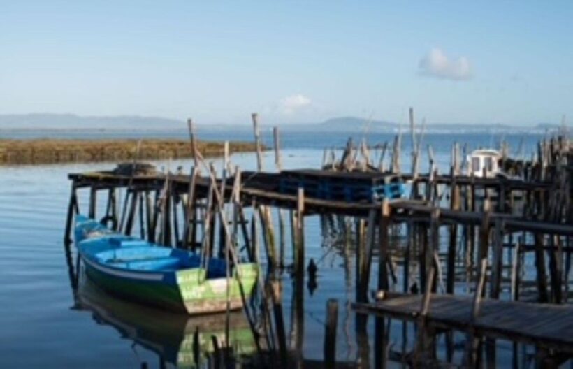 Comporta to Alcacer do Sal boat trip - Key Points