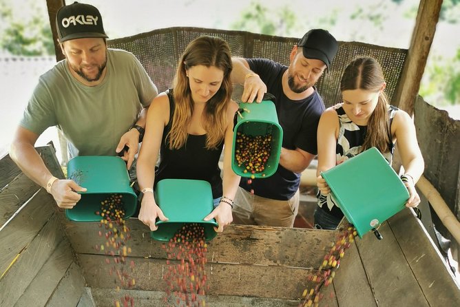 Comuna 13 & Coffee Farm Private Tour in Medellin: The Best Combo - Exploring the Coffee Farm