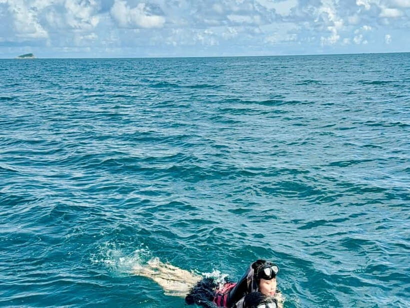 Con Dao: 2-Day Turtle Watching and Snorkeling Tour - What to Expect from the Con Dao Turtle and Snorkeling Tour