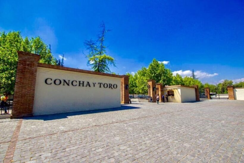Concha y toro Wine tour - Key Points