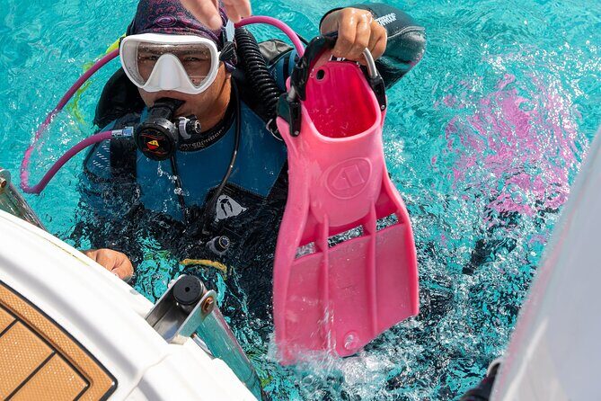 Concierge Two Tank Boat Dive in Bonaire (4 Divers) - What Makes This Bonaire Boat Dive Stand Out?