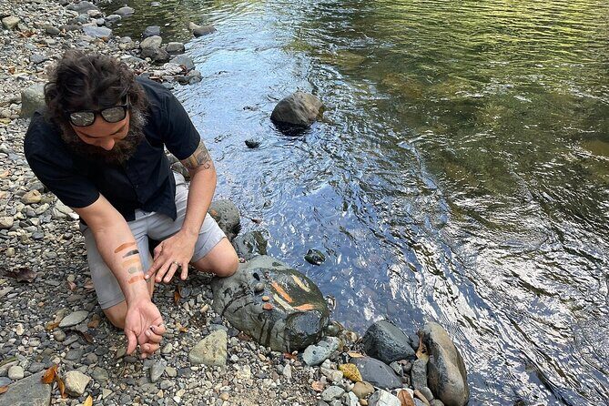 Concrete Jungle to the Actual Jungle, The Complete Package Tour - Introduction