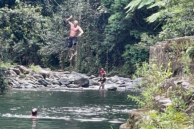 Concrete Jungle to the Actual Jungle, The Complete Package Tour - Practical Details and Value