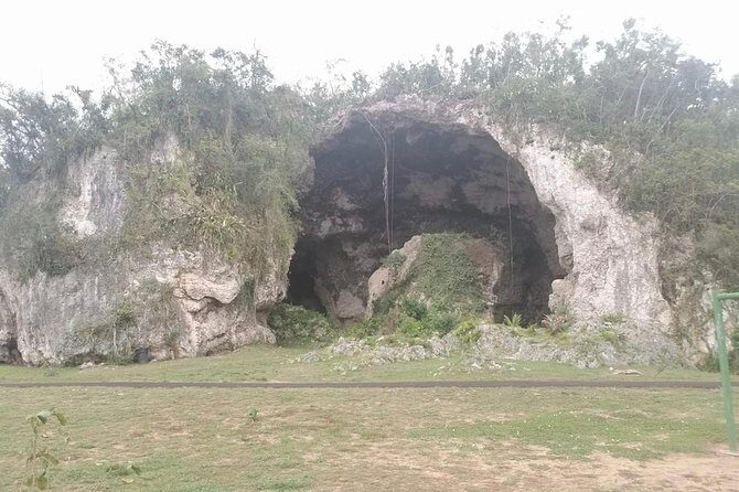 Concrete Jungle to the Actual Jungle, The Complete Package Tour - FAQ