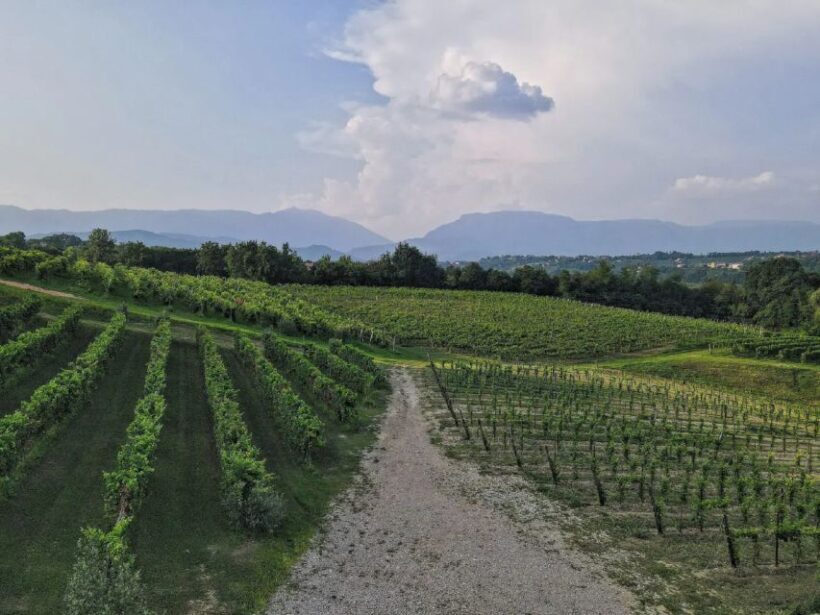 Conegliano: Prosecco Hills and Vineyards tour - A Close Look at the Tour Itself