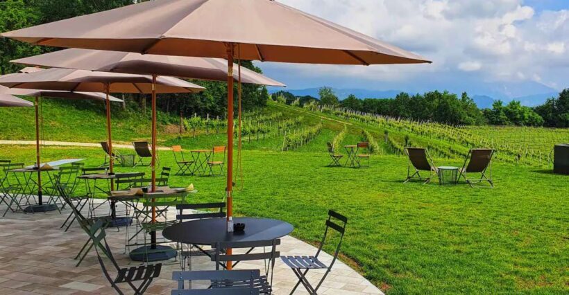 Conegliano: Prosecco Hills and Vineyards tour - Practical Tips for Visitors