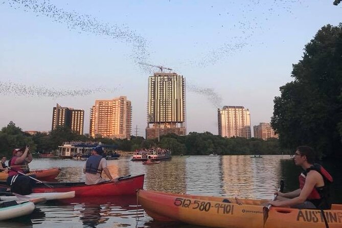 Congress Avenue Bat Bridge Kayak Tour in Austin - What’s Included and What to Bring