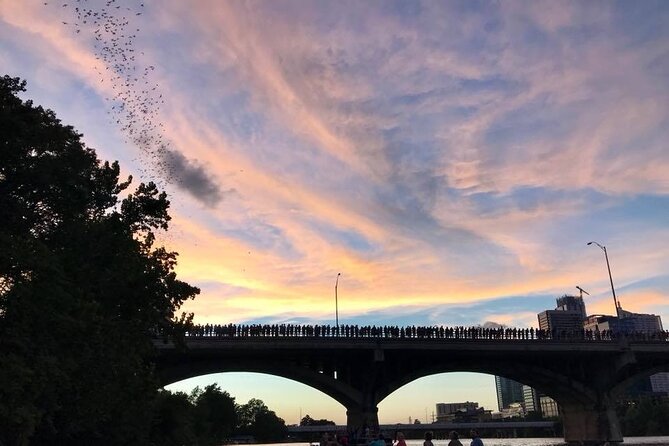 Congress Avenue Bat Bridge Kayak Tour in Austin - Group Size, Duration, and Value
