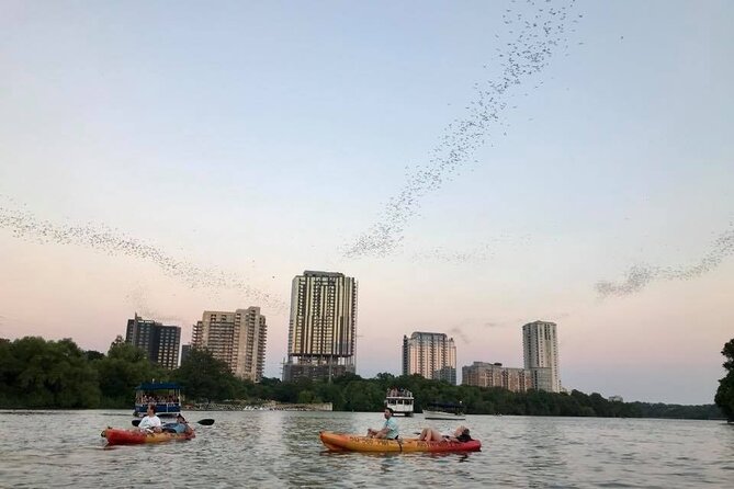 Congress Avenue Bat Bridge Kayak Tour in Austin - Authentic Experiences and Authenticity