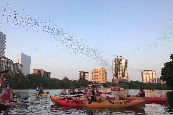 Congress Avenue Bat Bridge Kayak Tour in Austin - The Sum Up