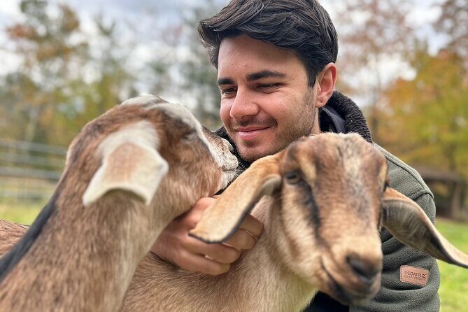 Connect with Rescue Animals on a Private Farm Tour in Catskills - Authentic Reviews: What Visitors Say