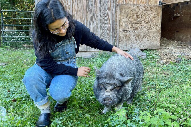 Connect with Rescue Animals on a Private Farm Tour in Catskills - Value and Who This Tour is For