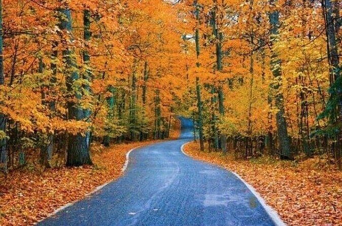 Connecticut Maple Foliage 1 Day Tour From New York - Practical Tips for Travelers