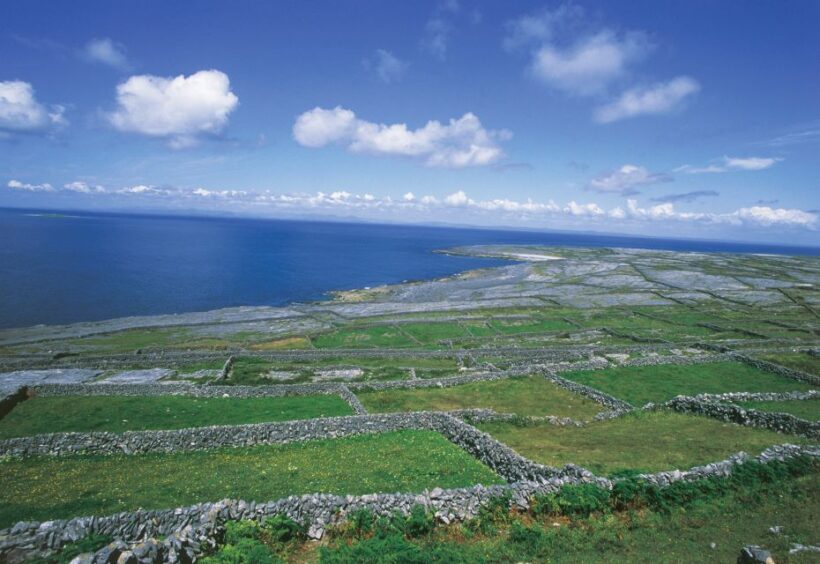 Connemara/Galway: Inis Meáin Return Ferry Transfer - An Authentic Day Trip from Galway