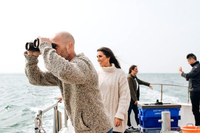 Connemara & Inishturk Island wildlife watching cruise. Private guided Full-day - What Sets This Tour Apart