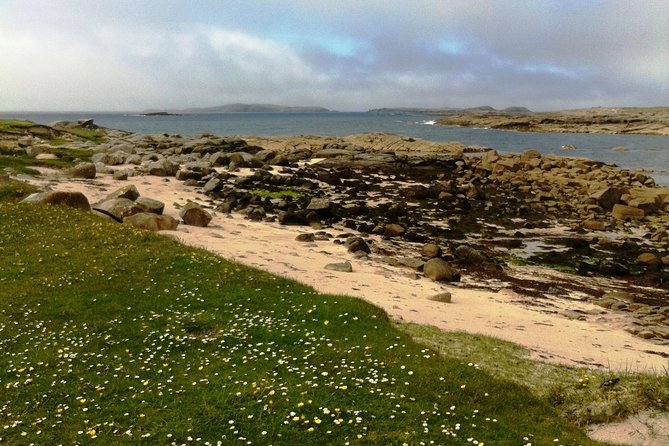 Connemara & Inishturk Island wildlife watching cruise. Private guided Full-day - An Honest Look at the Price and Value
