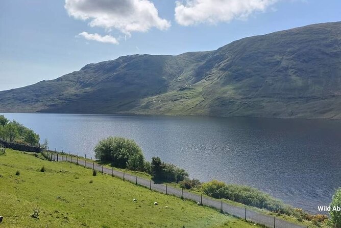 Connemara Sheep Farm experience & Kylemore Abbey by Lux Limousine - FAQs