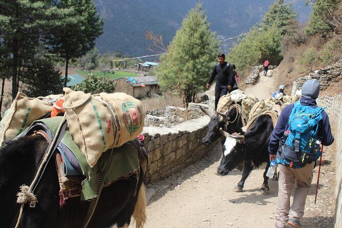 Conquer the Majestic Ama Dablam Base Camp: A Trekker's Paradise - FAQs