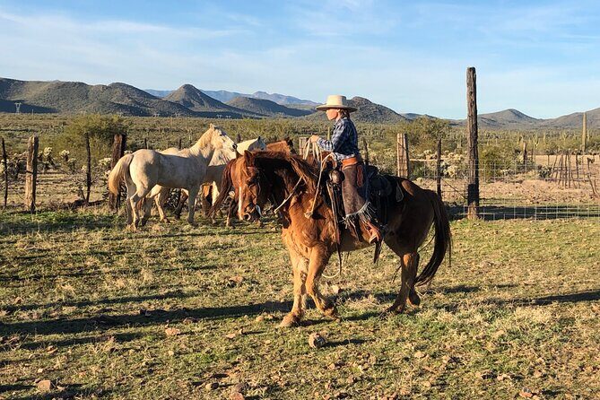 Contact us to book your time. Best Trail Rides in Arizona. - Key Points