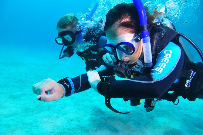 Continue your education with the Advanced Open Water Diver course - 2 days - Introduction