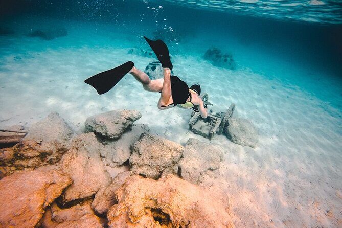 Contoy Island & Isla Mujeres Adventure from Cancun - Cost and Value Analysis