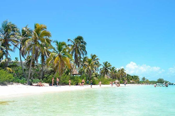 Contoy Island Tour from Playa del Carmen & Cancun - The Experience in Detail