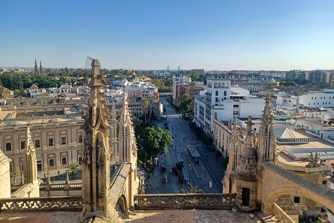 Contrasts of Seville - Value and Practical Insights