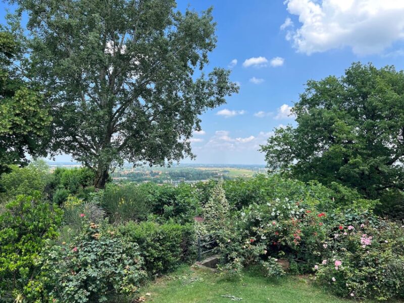 Cook Bolognese Dishes in a Splendid Villa - Why This Tour Offers Great Value