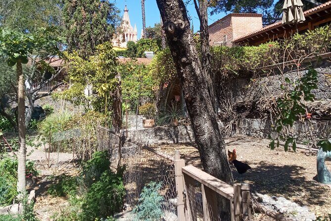 Cook & Dine | Make Authentic Mexican Mole and Salsas in San Miguel de Allende - Who Would Love This Tour?