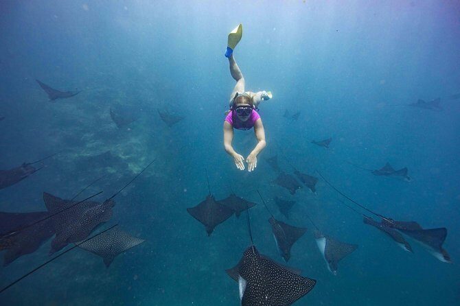 Cook Islands Turtle and Ray Tour - Authentic Encounters and Honest Feedback