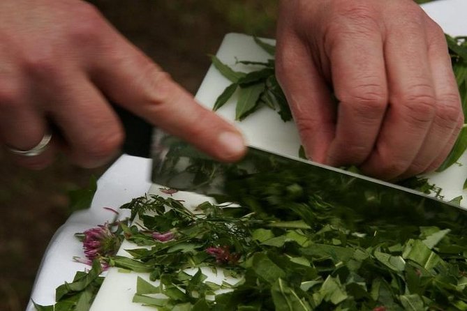 Cooking Class and Wine Tasting in Santorini - Target Audience and Suitability