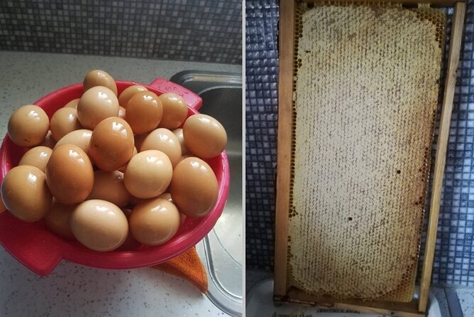 Cooking Class at Alexandras Farm in Ypati Thermal Springs - Key Points