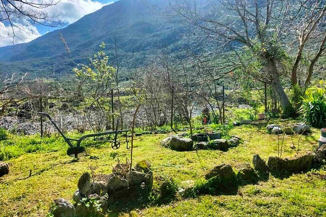 Cooking Class at Alexandras Farm in Ypati Thermal Springs - FAQ