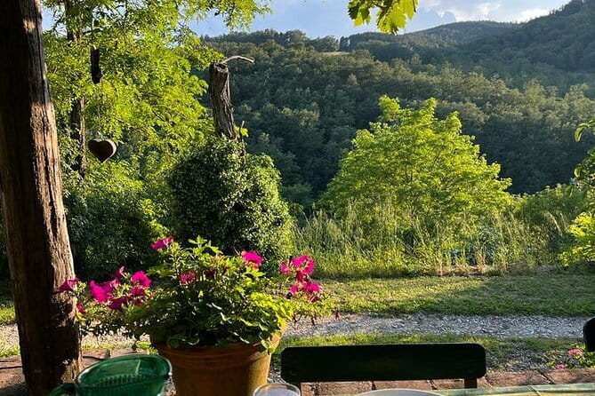 Cooking Class for Pasta Lovers in Florence Country House - Is It Worth the Price?