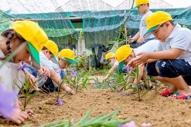 Cooking Class Hoi An - Organic Garden - Farming Tour - Analyzing the Value