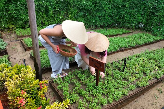 Cooking Class Hoi An - Organic Garden - Farming Tour - FAQ