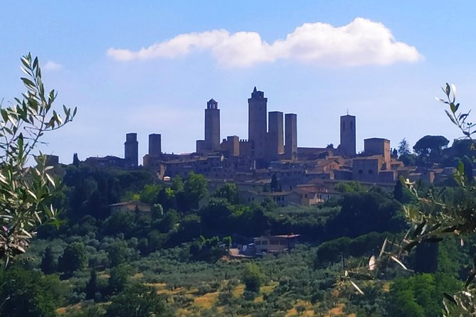 Cooking Class in a Real Tuscan Farmhouse - The Joy of Hands-On Learning