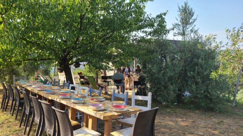 Cooking class in our family farm in Chianti with lunch - Who Will Love This Tour?
